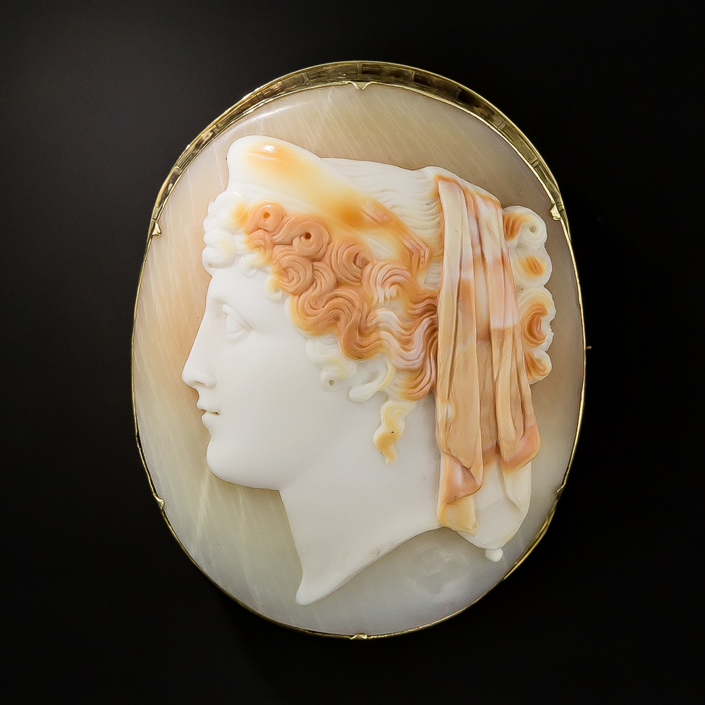 Victorian Shell Cameo